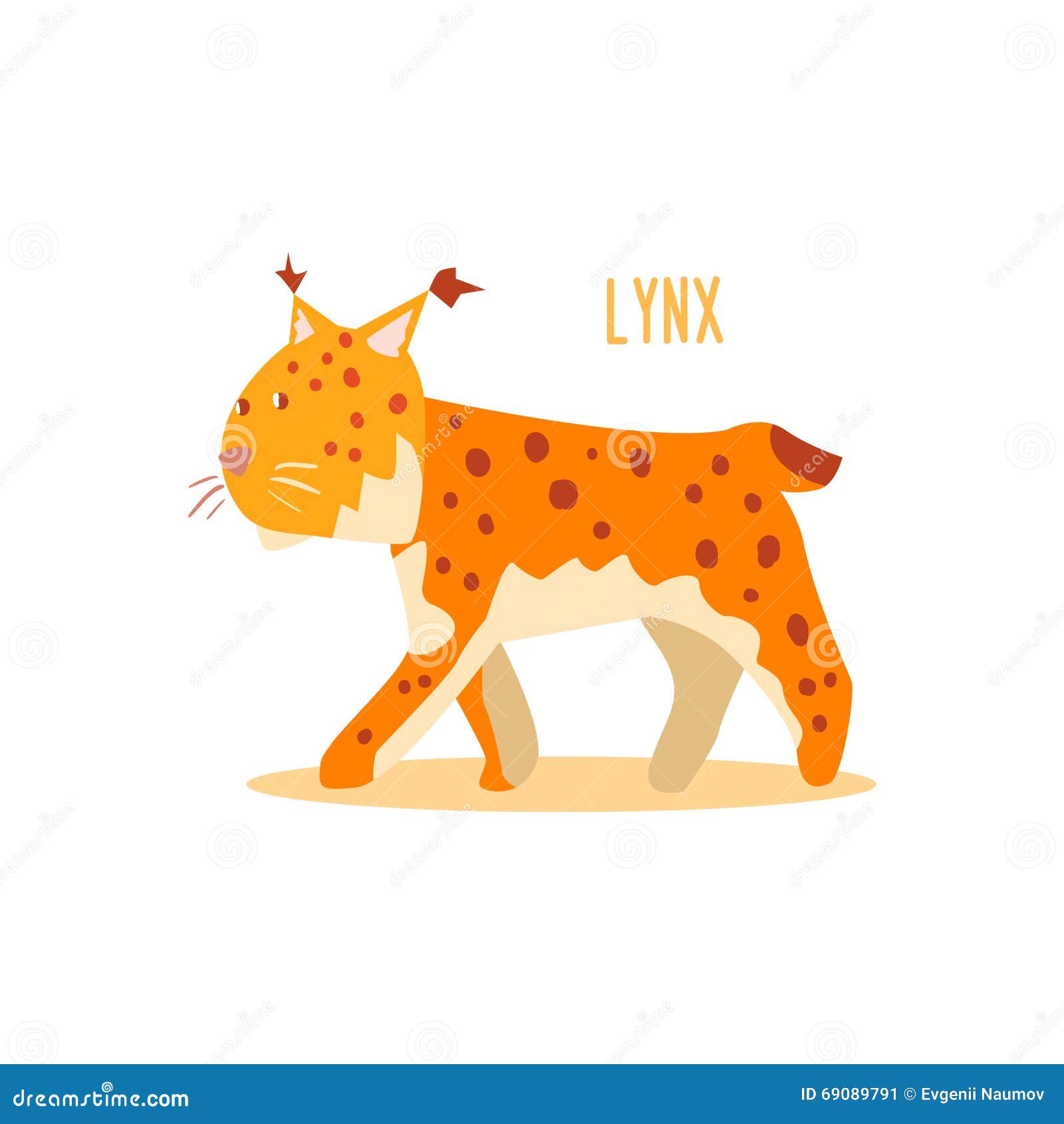 Luchs-Vektor-Illustration vektor abbildung. Illustration von flach ...