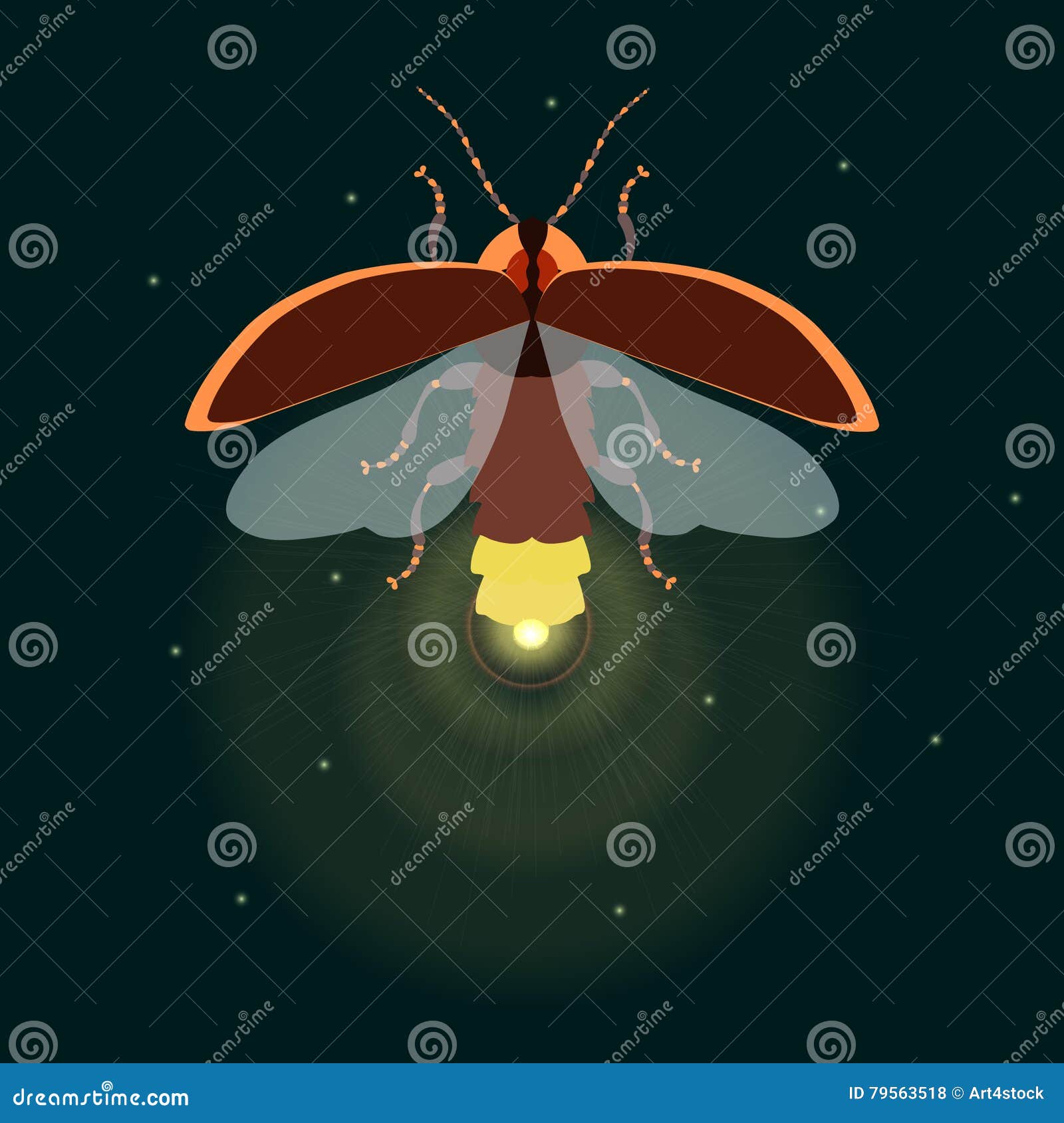 Luciole Avec Les Ailes Ouvertes Illustration Stock - Illustration du ...