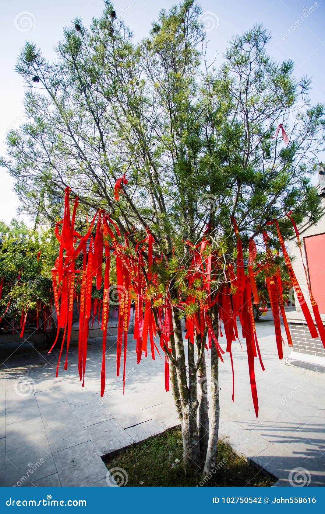 Luck tree stock photo. Image of china, good, prayed - 102750542
