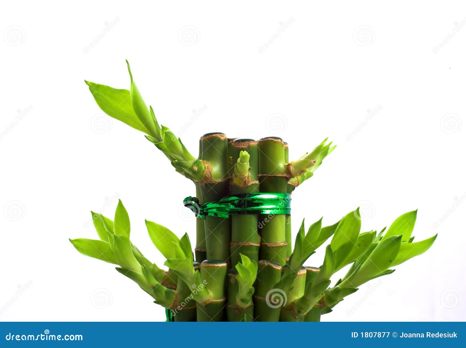 Bamboo Bambu Pering Mosque Masjid Kiram Park Architecture Stock Photo ...
