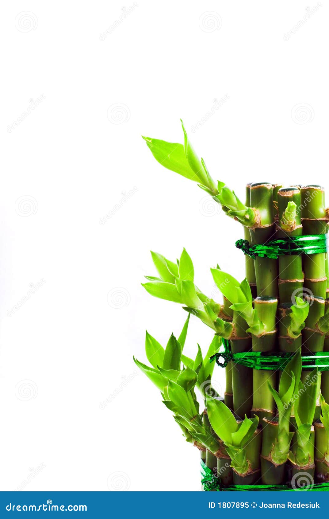 Bamboo Bambu Pering Mosque Masjid Kiram Park Architecture Stock Photo ...
