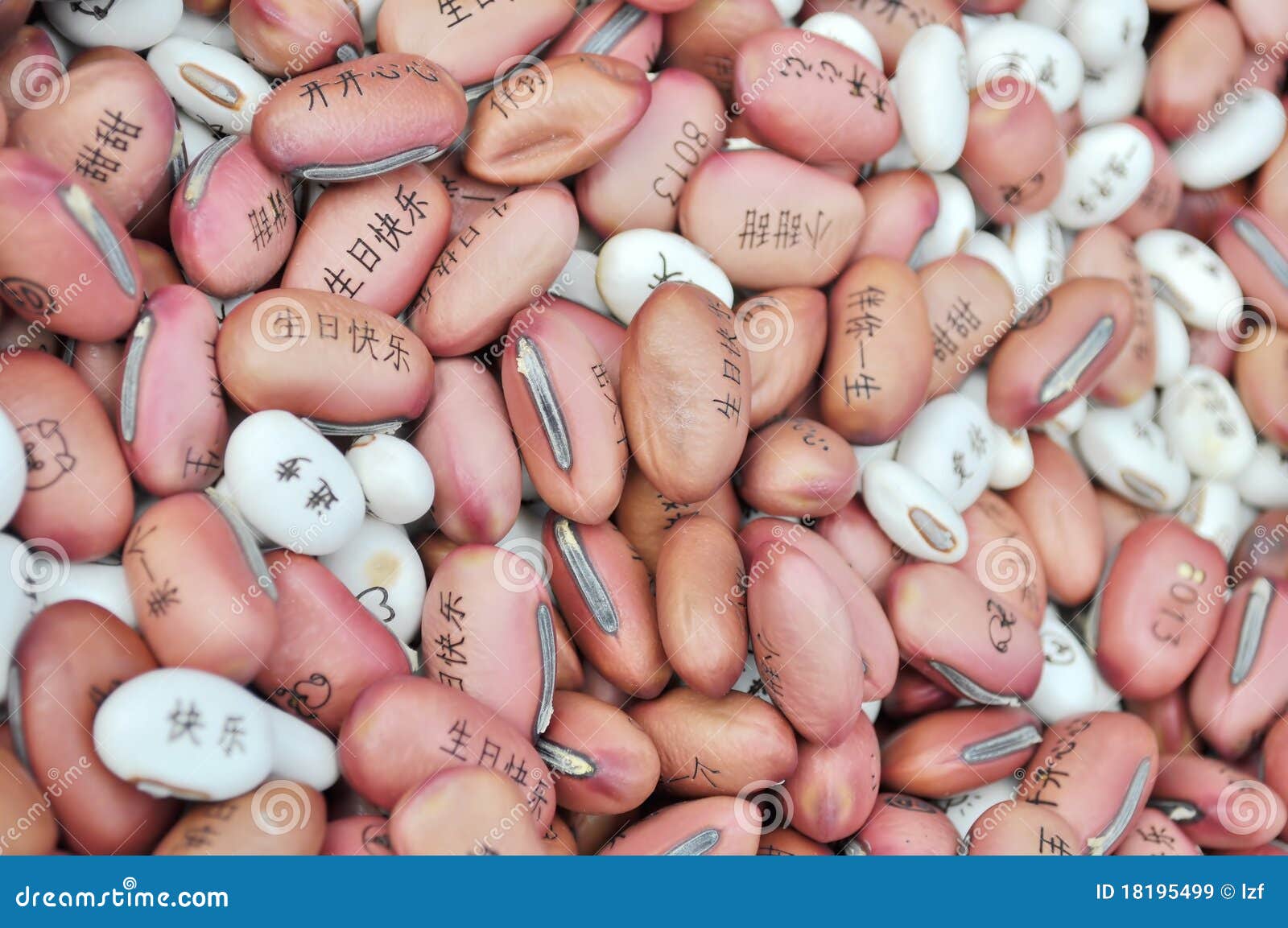 Lucky beans stock image. Image of kidney, color, chinese - 18195499