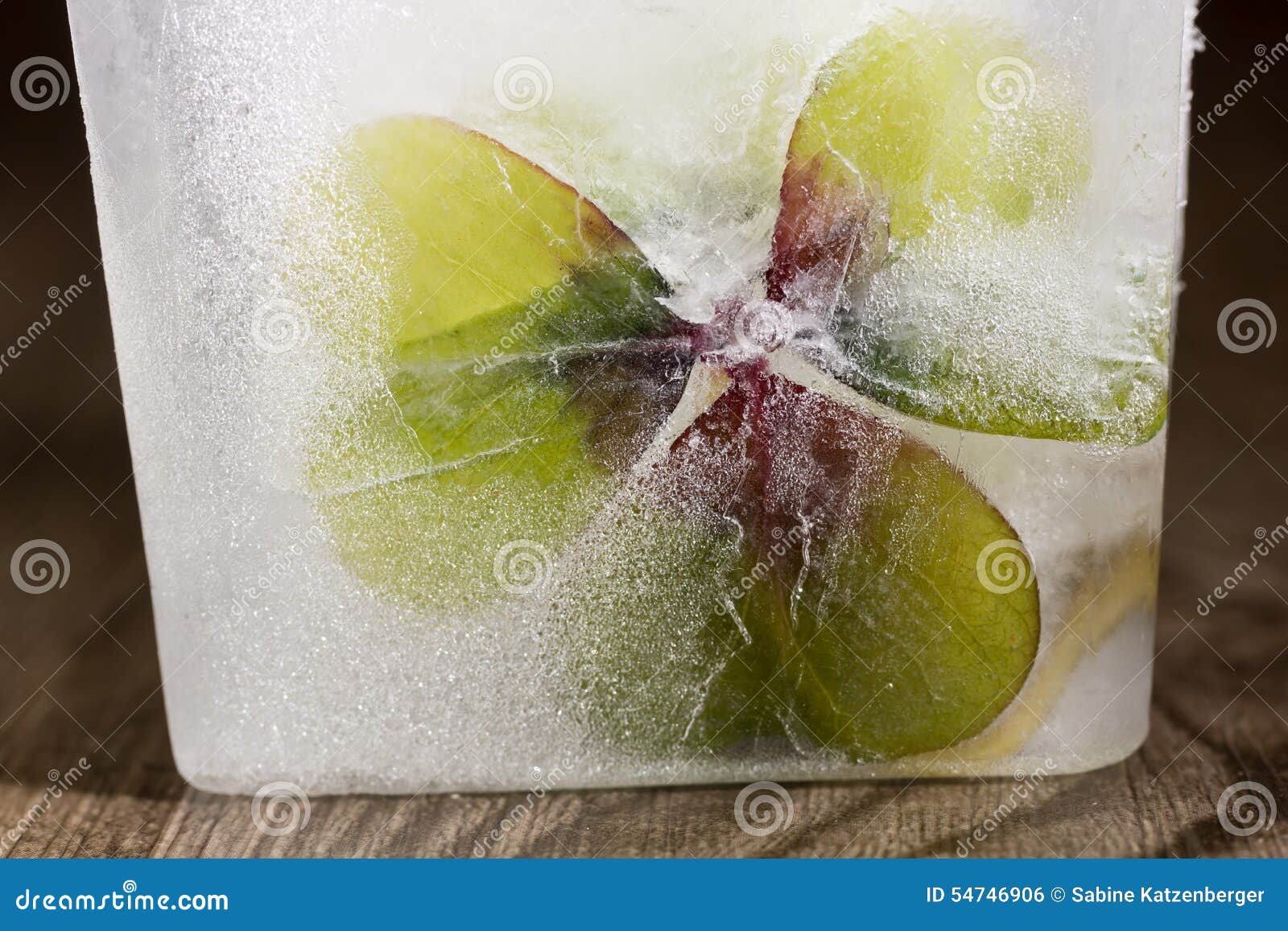 Clover Ice Cube Home & Living Drink & Barware etna.com.pe