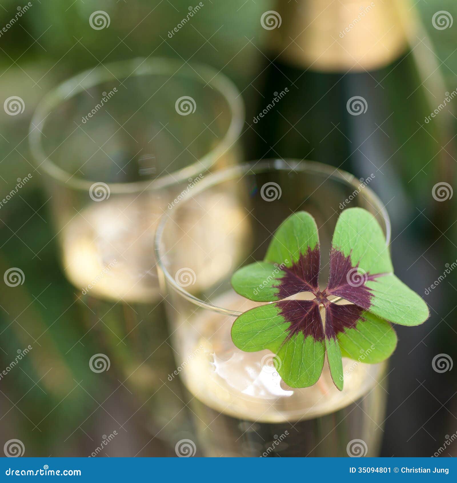 Lucky clover stock image. Image of symbol, leafed, party - 35094801