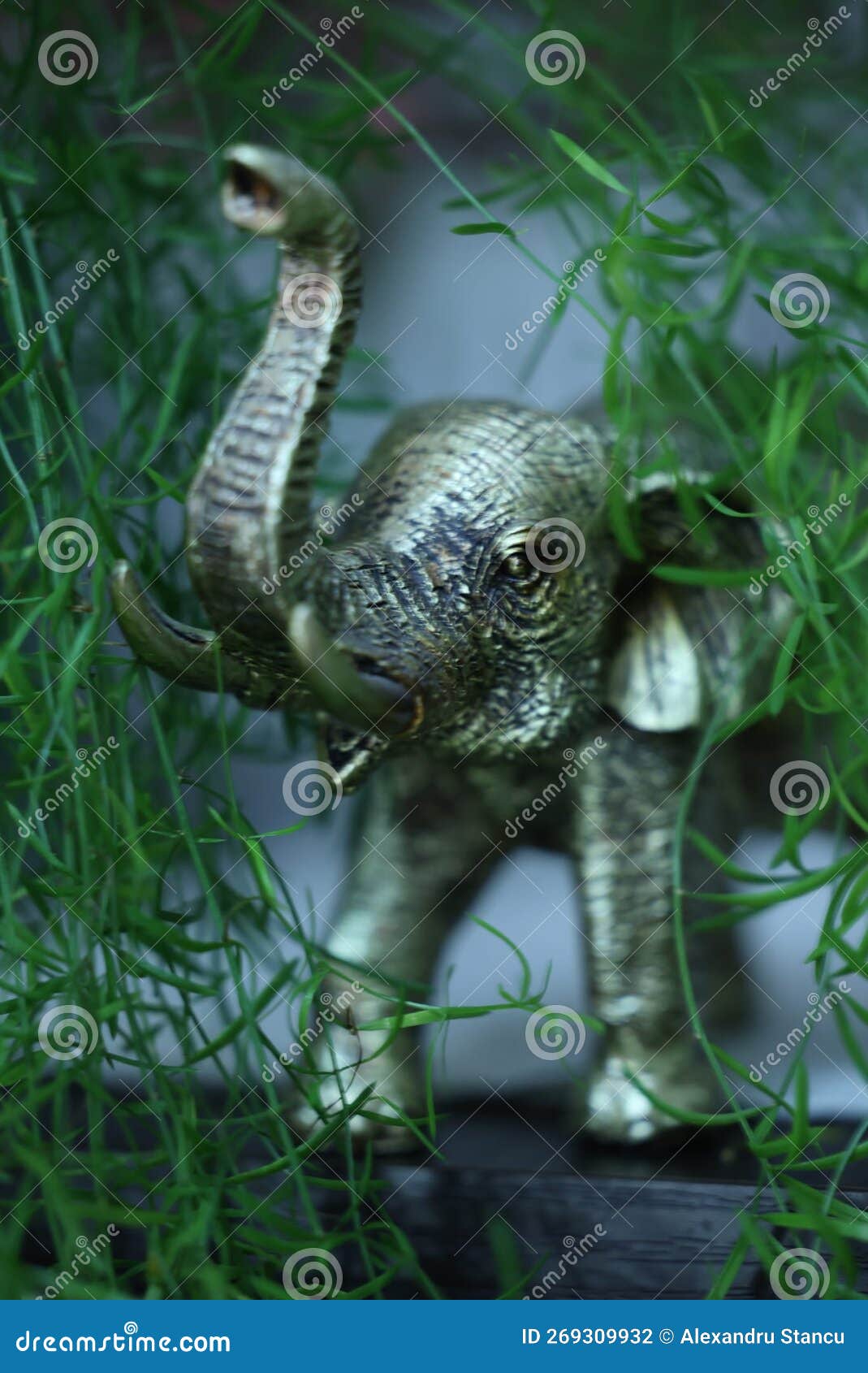 Lucky Elephant figurine stock photo. Image of plant - 269309932
