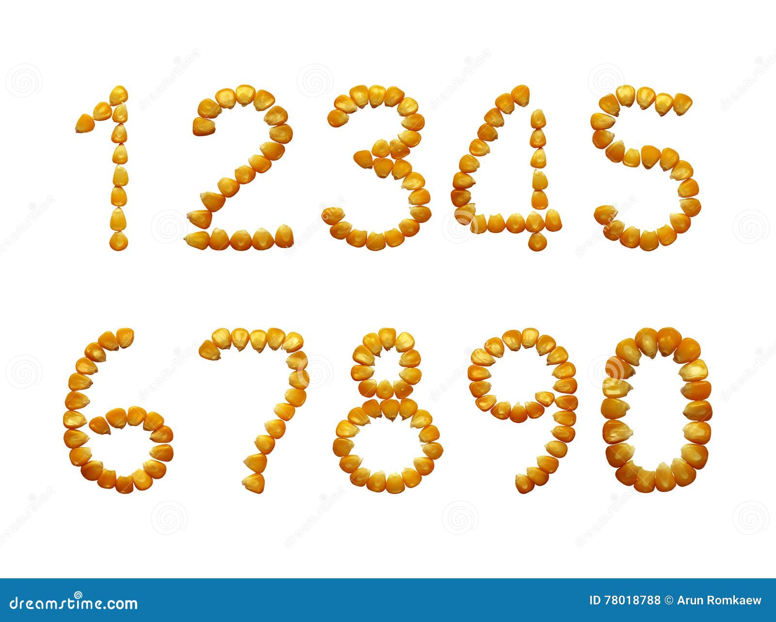 Lucky Numbers Ripe Corn Isolated. Stock Photo - Image of color ...