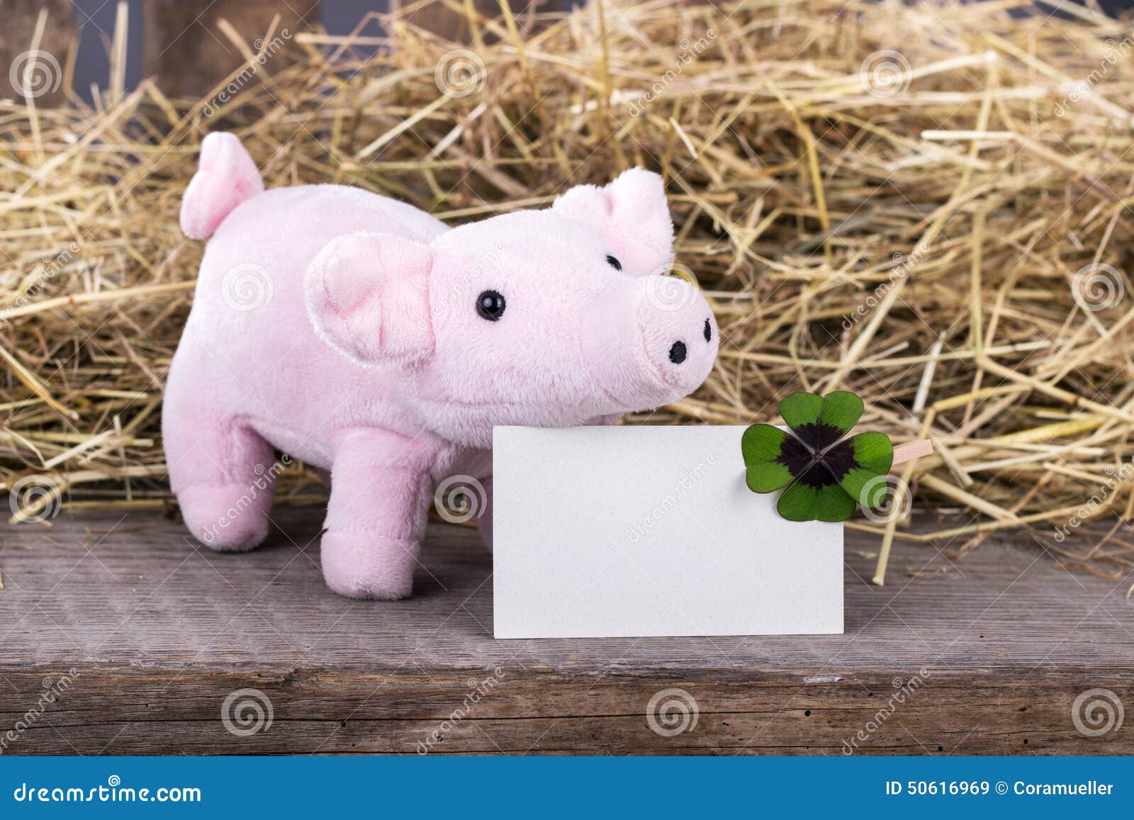 Lucky pig stock image. Image of brown, pink, good, stable - 50616969