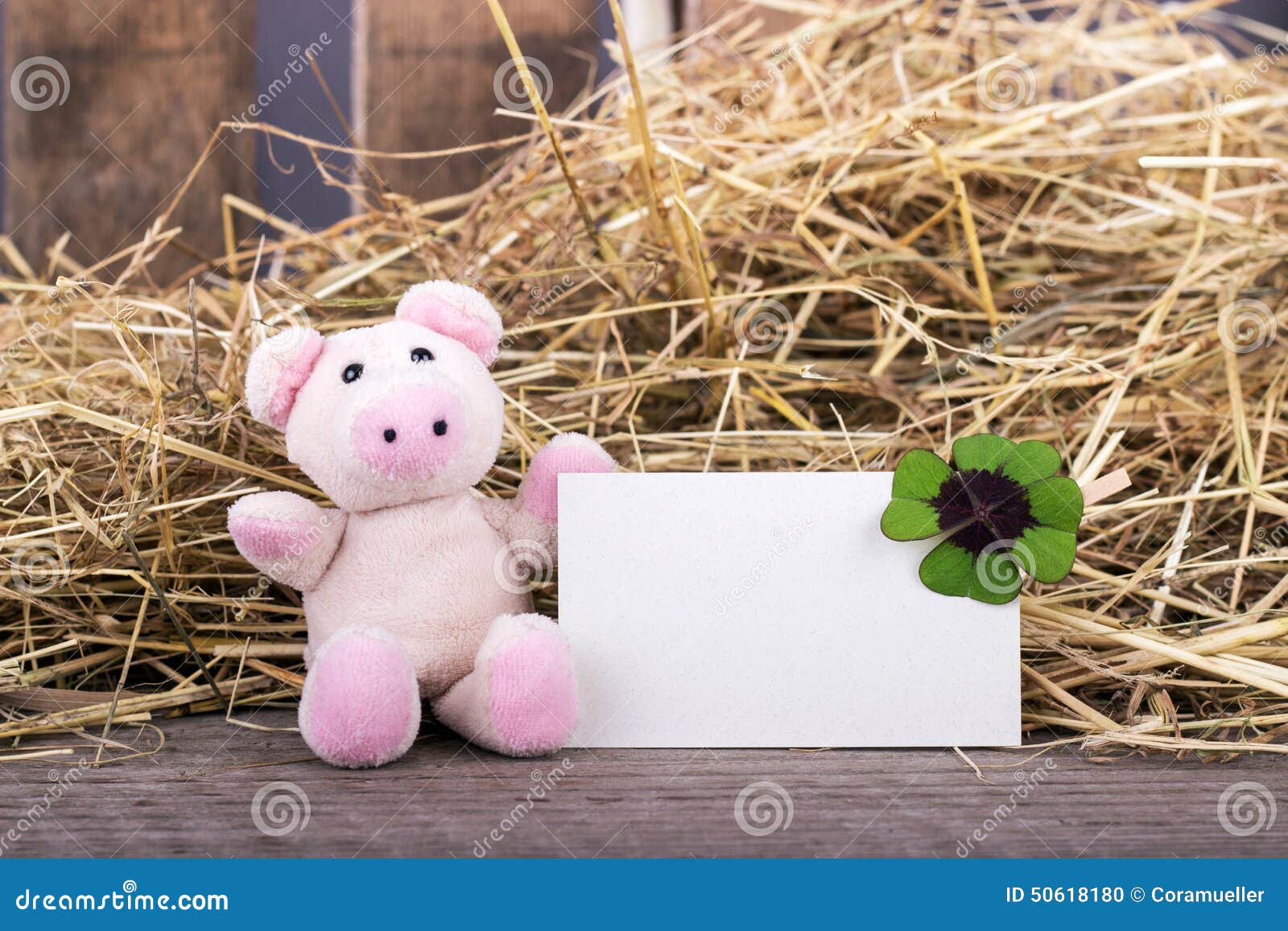 Lucky pig stock photo. Image of straw, success, luck - 50618180