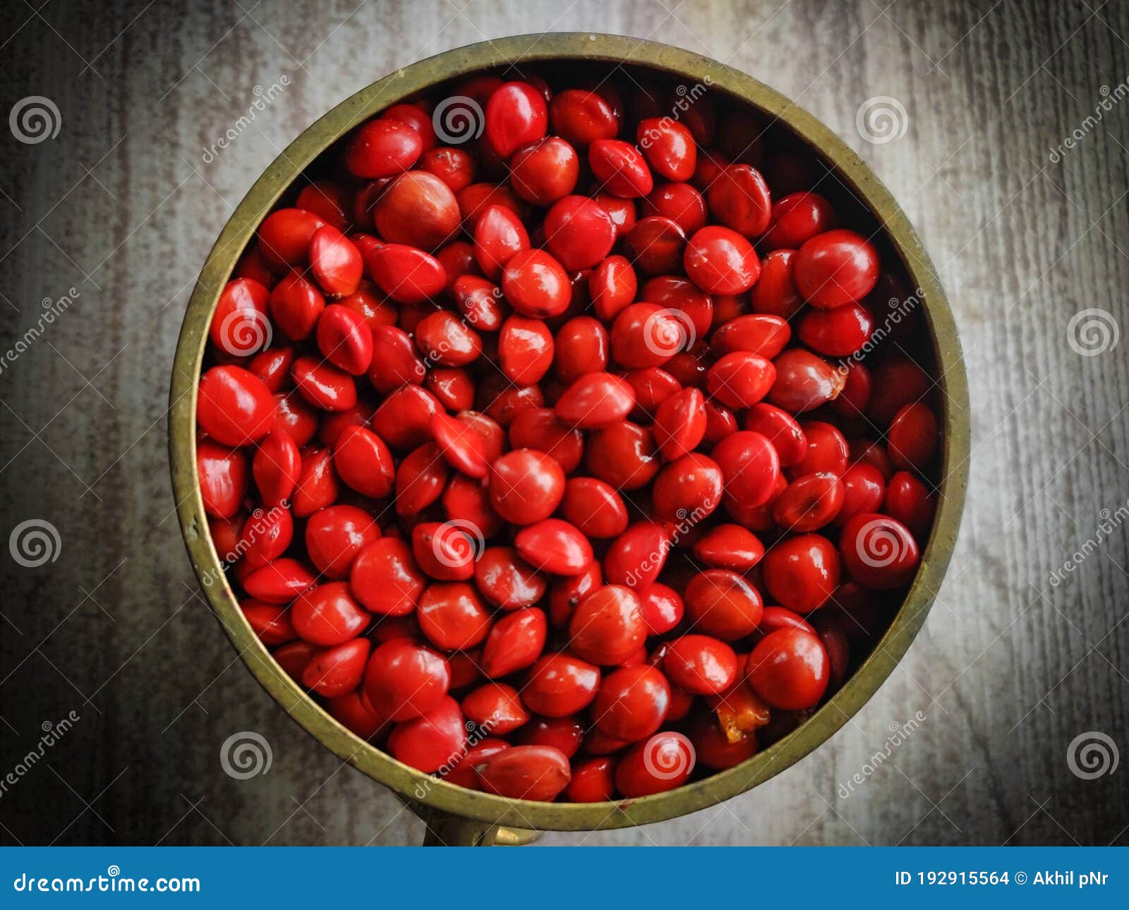 Lucky red seeds stock photo. Image of india, southindia - 192915564