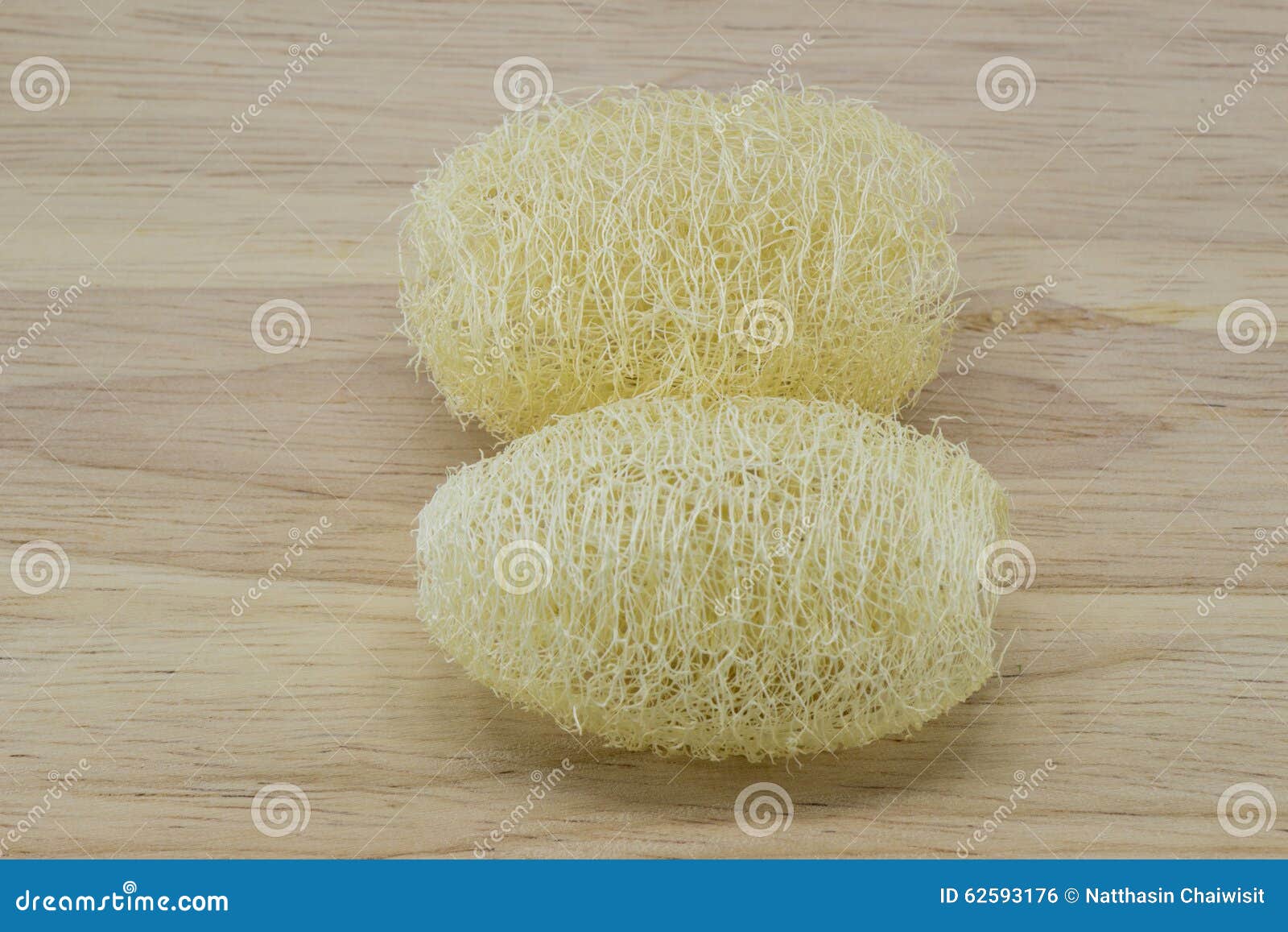 Luffa stock photo. Image of sponge, luffa, loufa, natural - 62593176