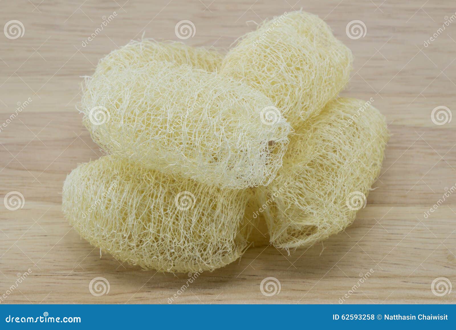 Luffa stock photo. Image of loofha, natural, cutter, material - 62593258