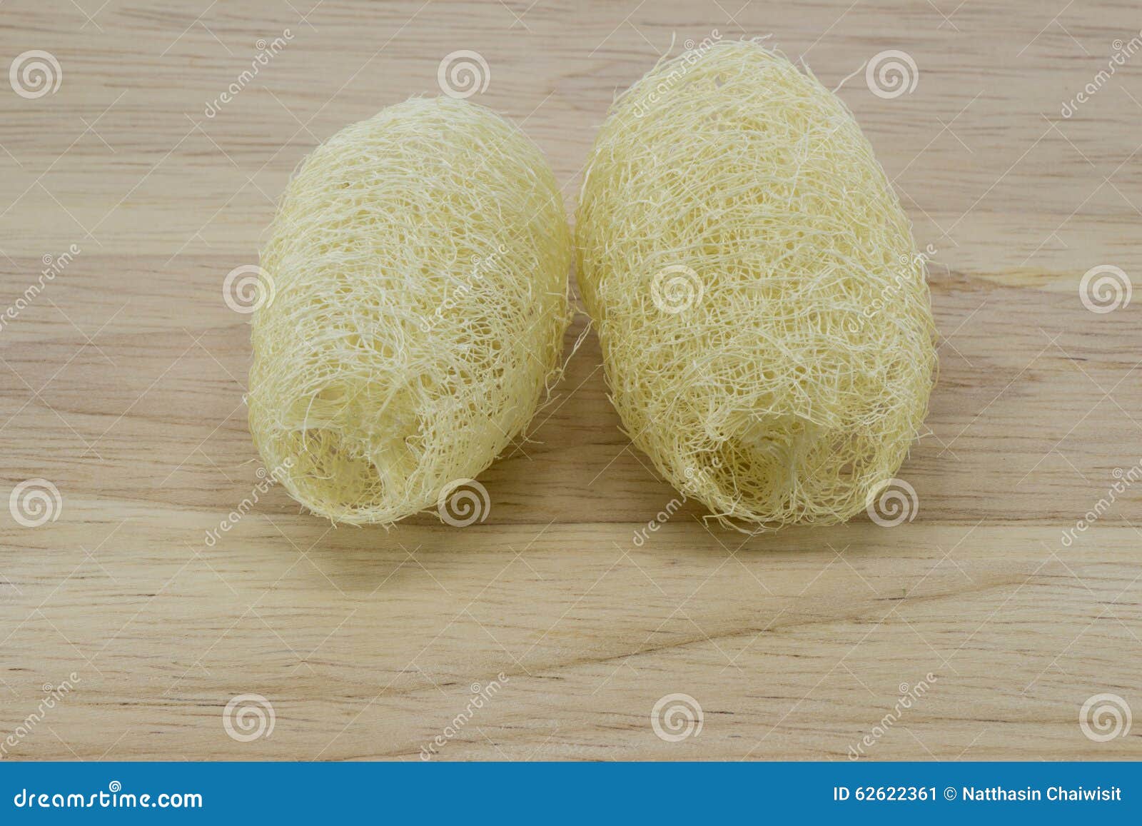 Luffa stock image. Image of natural, luffah, loofa, luffa - 62622361