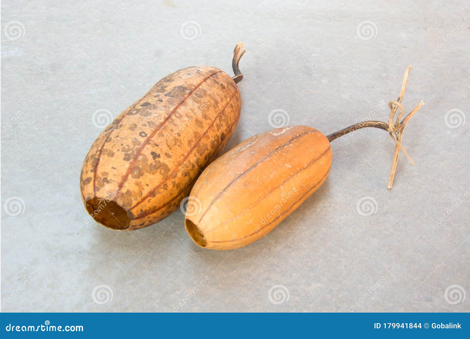 Luffa stock photo. Image of natural, lufa, wash, detail - 179941844