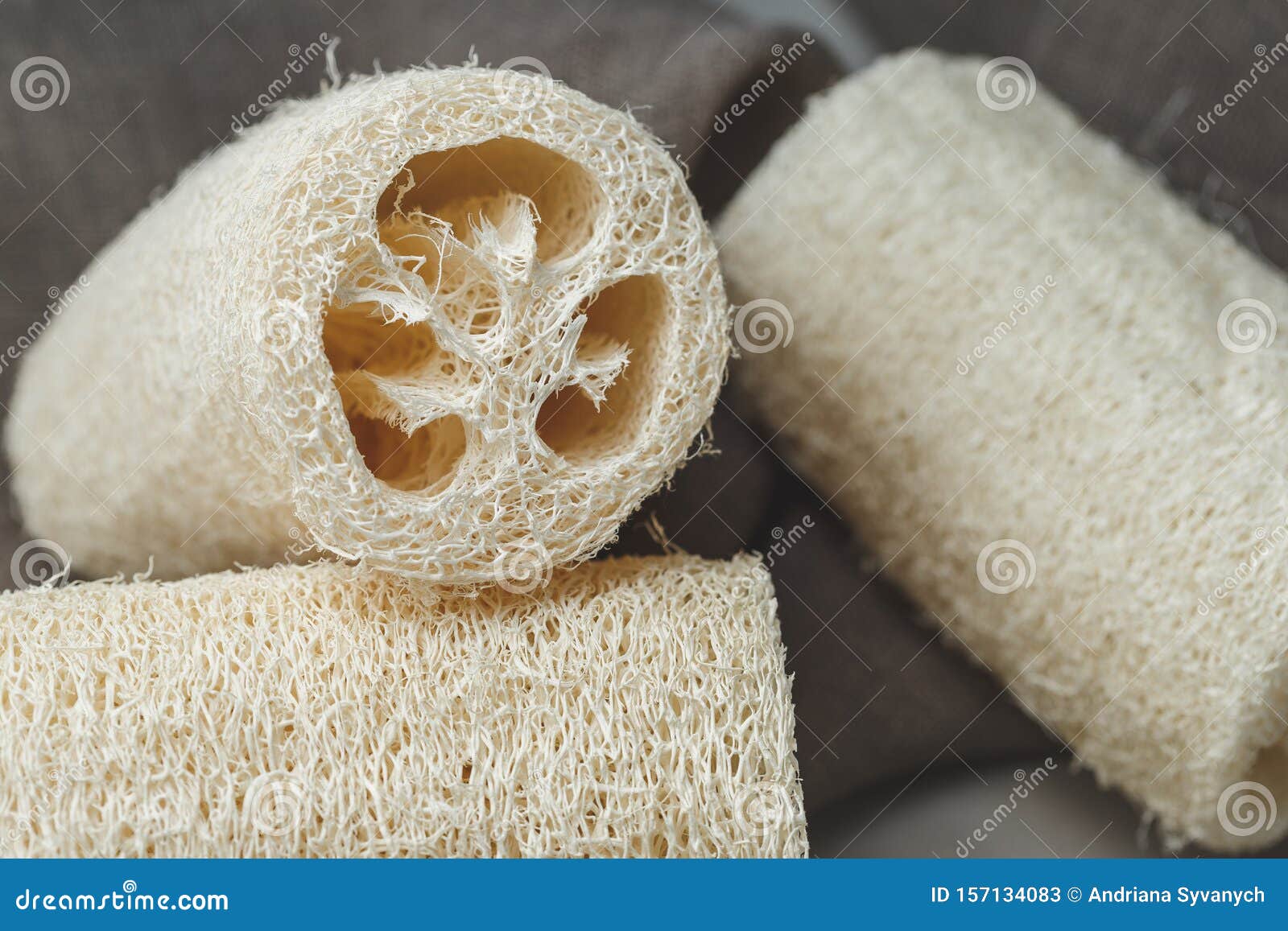 Luffa Sponge for Zero Waste Washing or Bath Stock Image - Image of ...