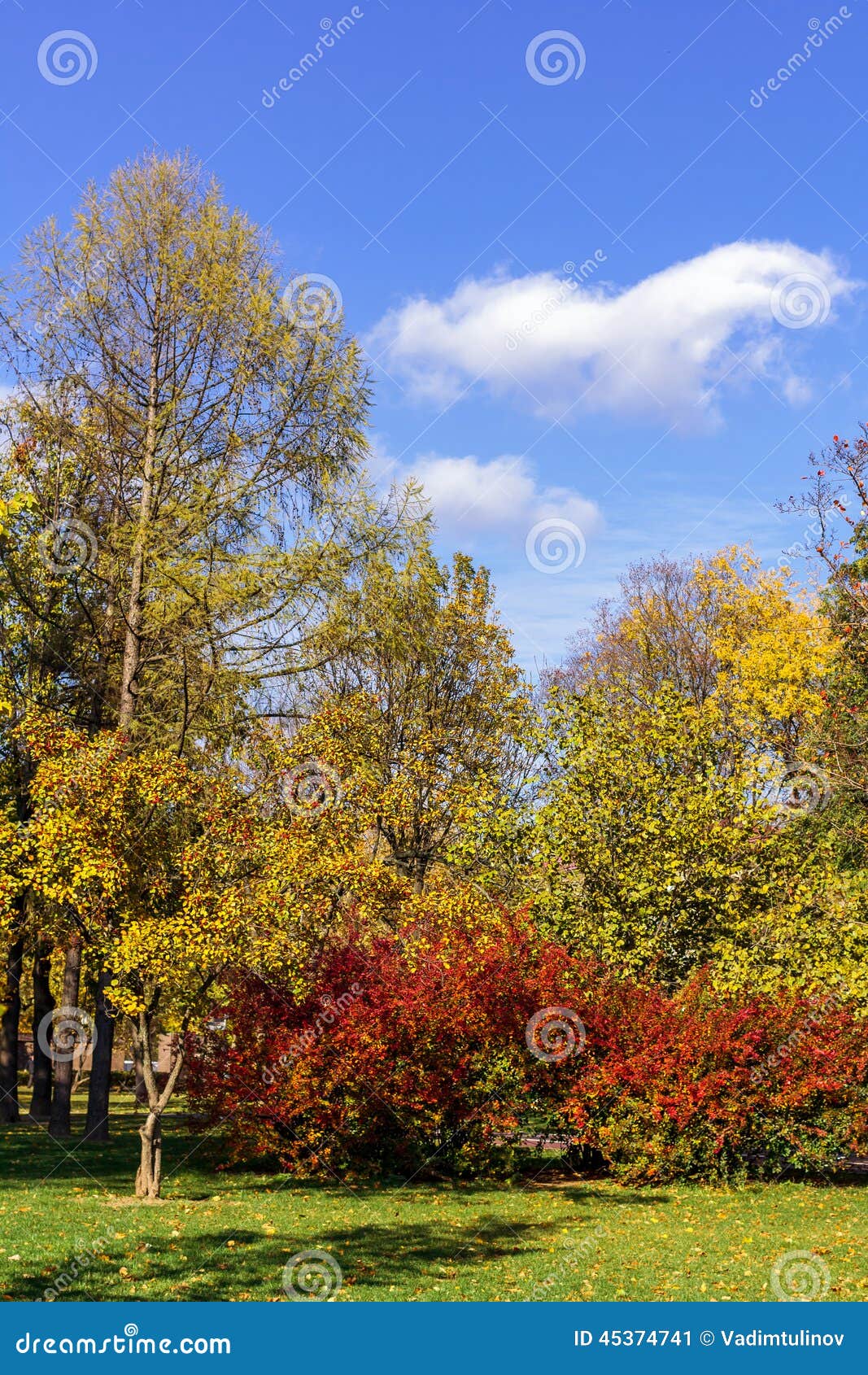 Lugar En Un Parque Reservado De La Ciudad Imagen de archivo - Imagen de ...