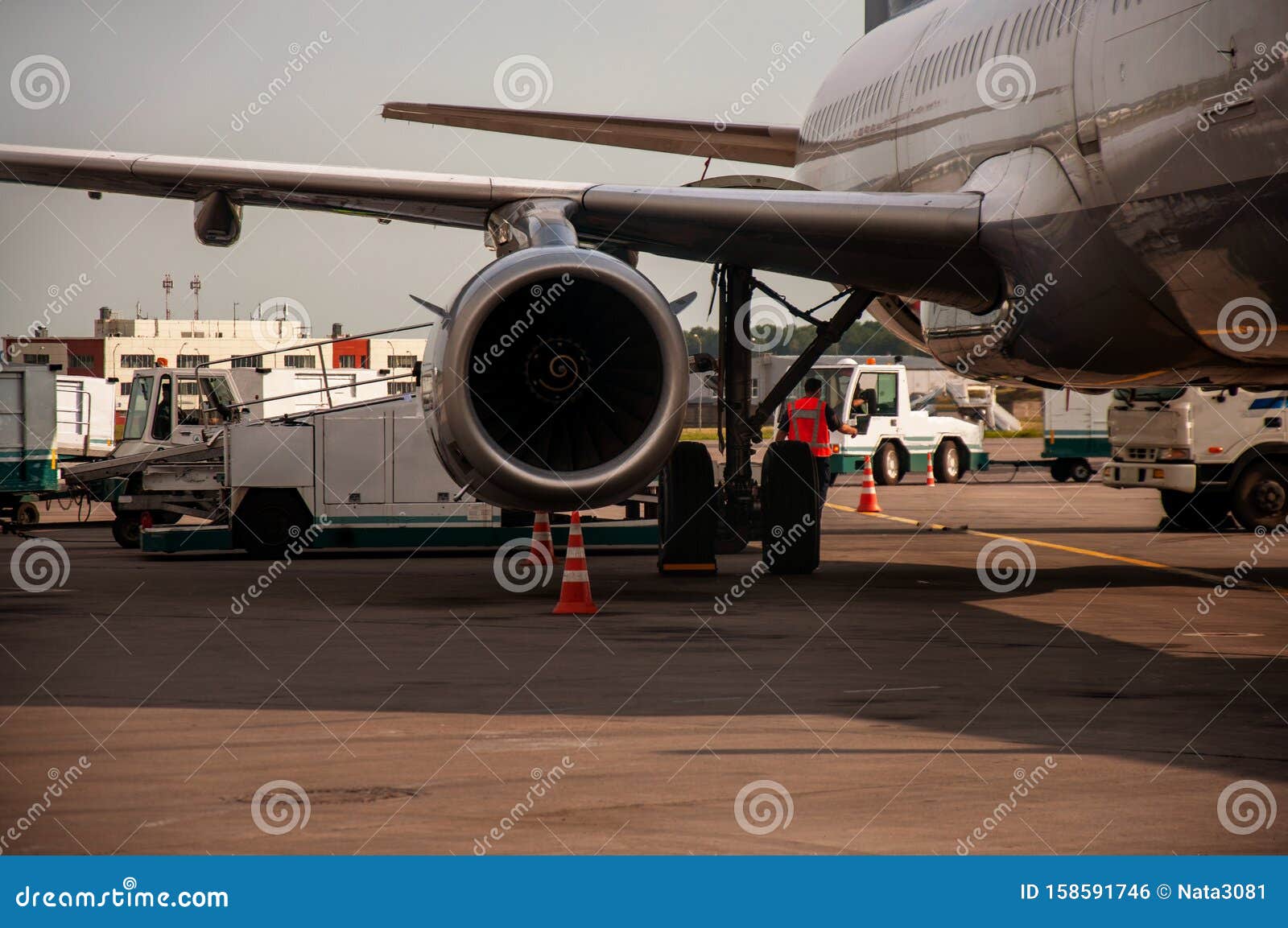 Luggage Loading in a Passenger Plane. Airport Baggage Service. Airplane ...
