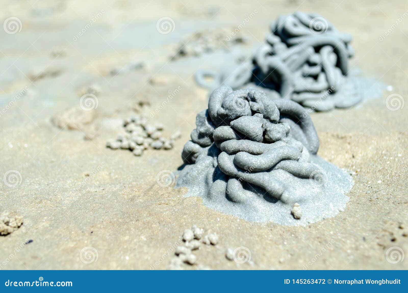 Lugworm Cast stock photo. Image of close, island, beautiful - 145263472