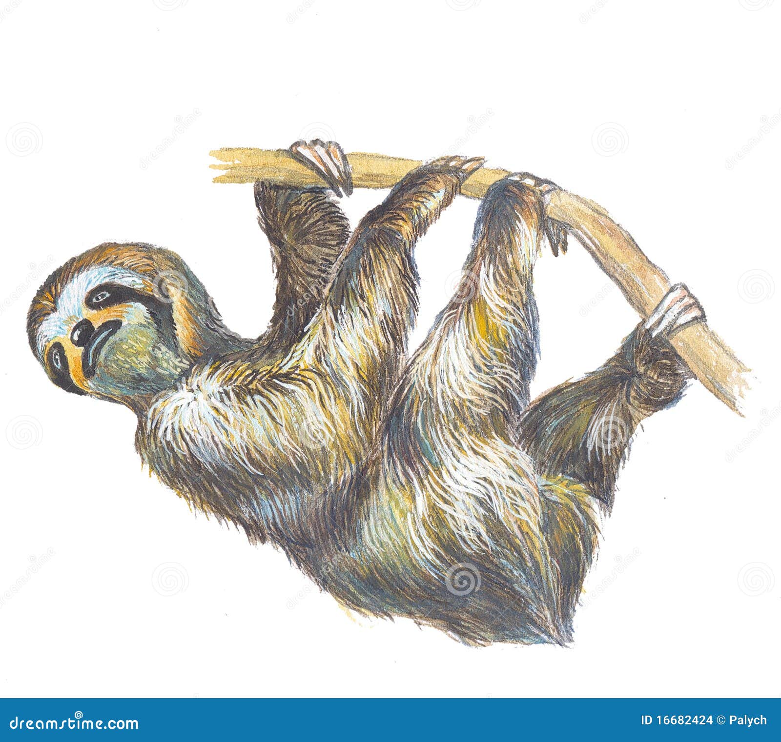 Luiaard stock illustratie. Illustration of leuk, tekening - 16682424