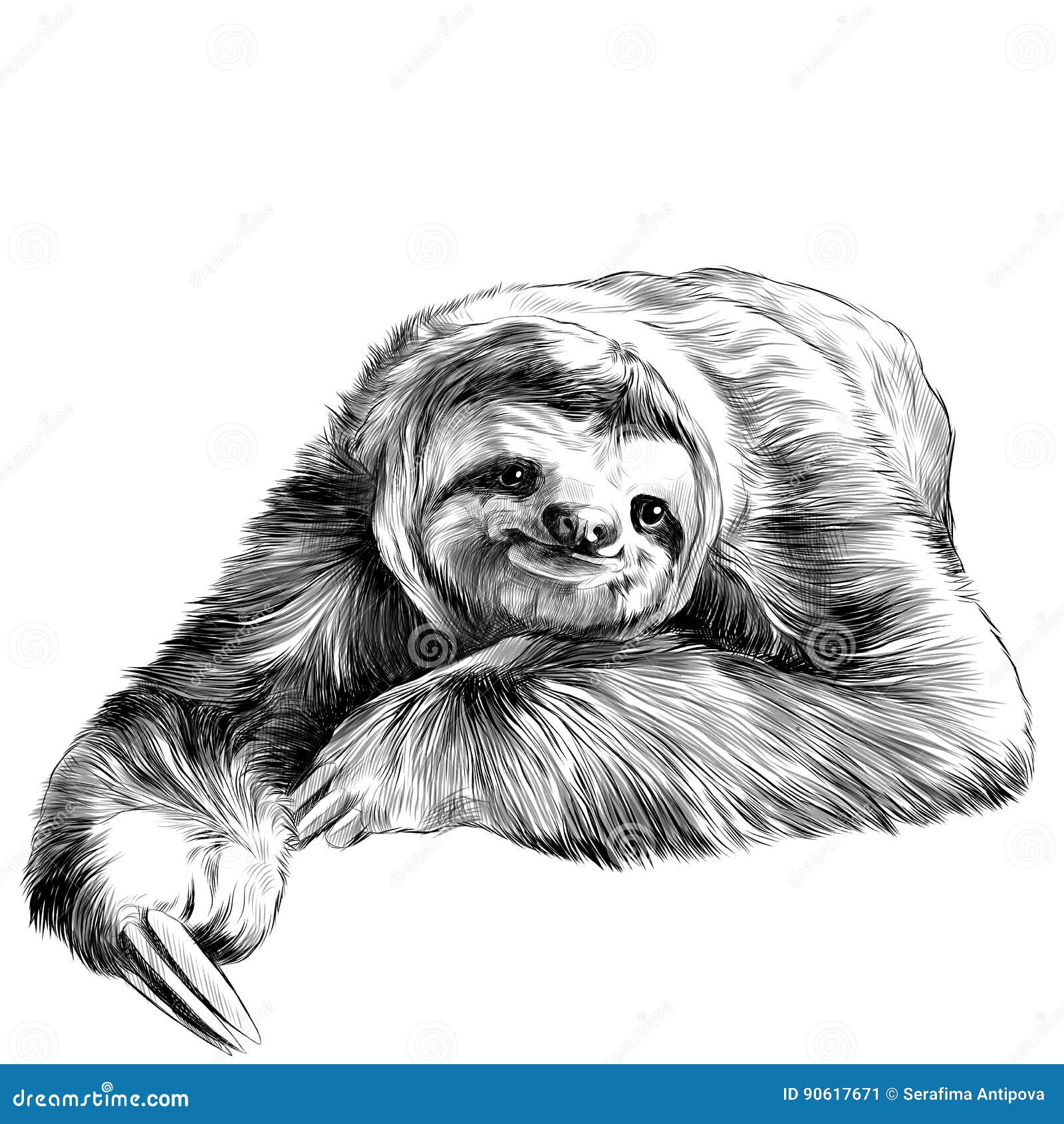 Luiaardschets stock illustratie. Illustration of zwart - 90617671