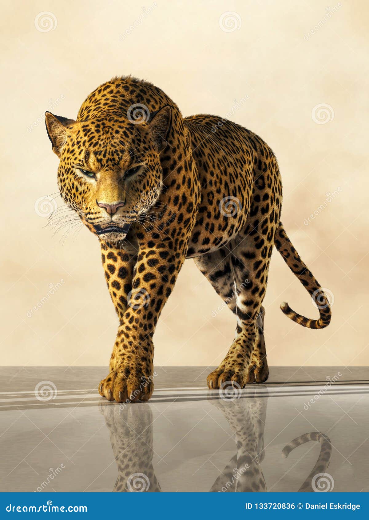 Luipaard Stock Illustrations, Vectors, & Clipart – (28,203 Stock ...