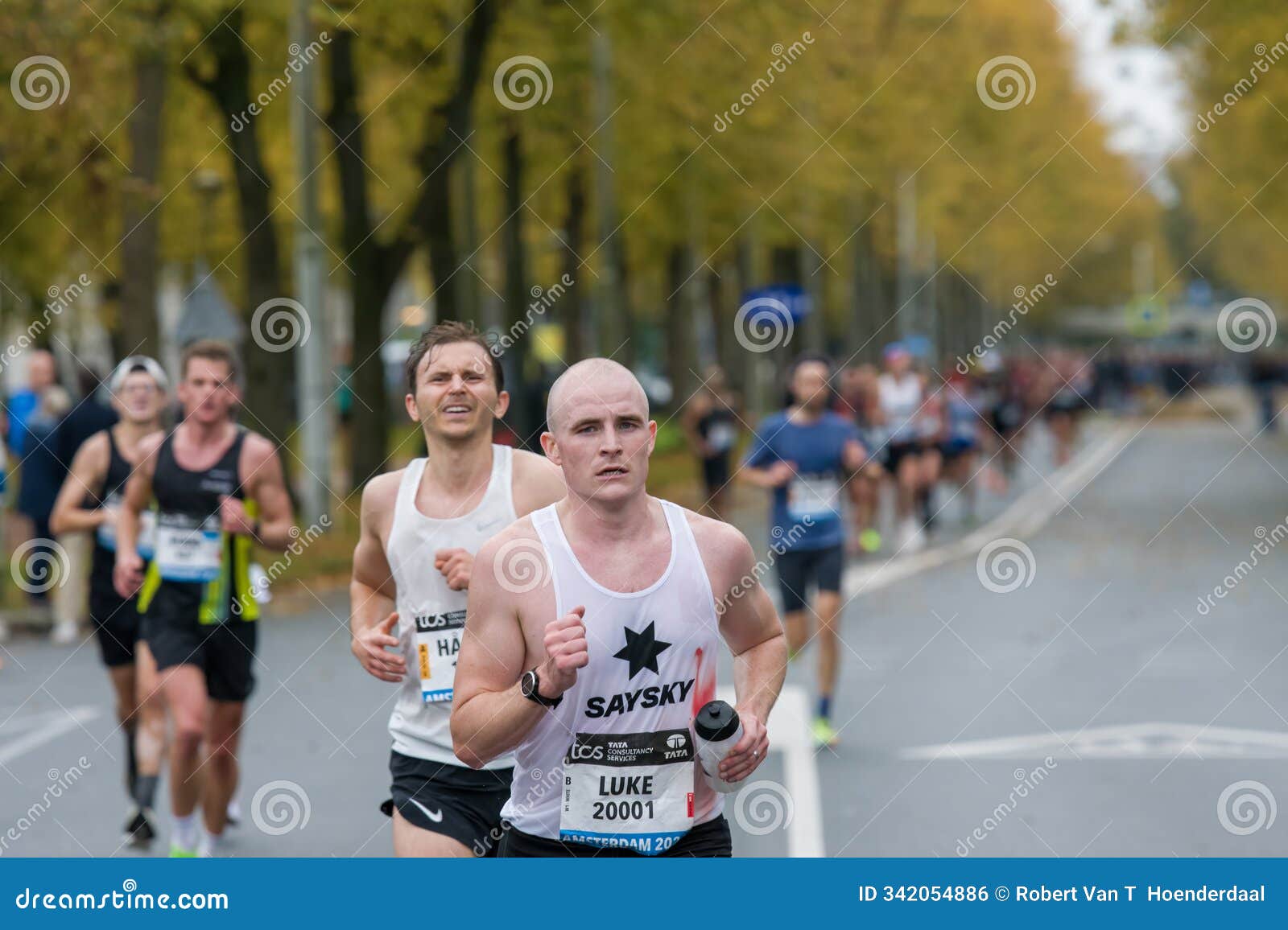 Morgan Work Horse And Carriage Editorial Image | CartoonDealer.com ...