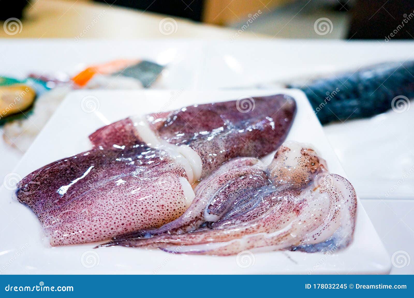 Lula crua na placa branca imagem de stock. Imagem de fundo - 178032245