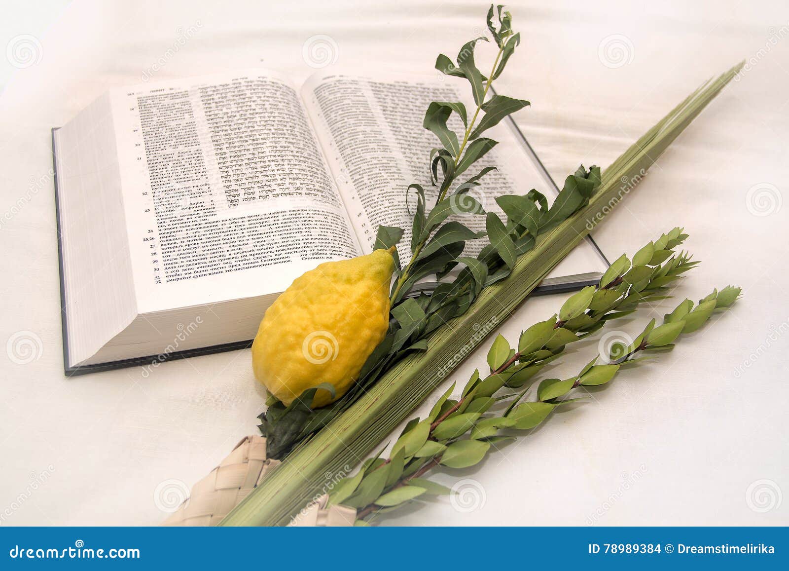 Lulav fotografia stock. Immagine di giorno, organismo - 78989384