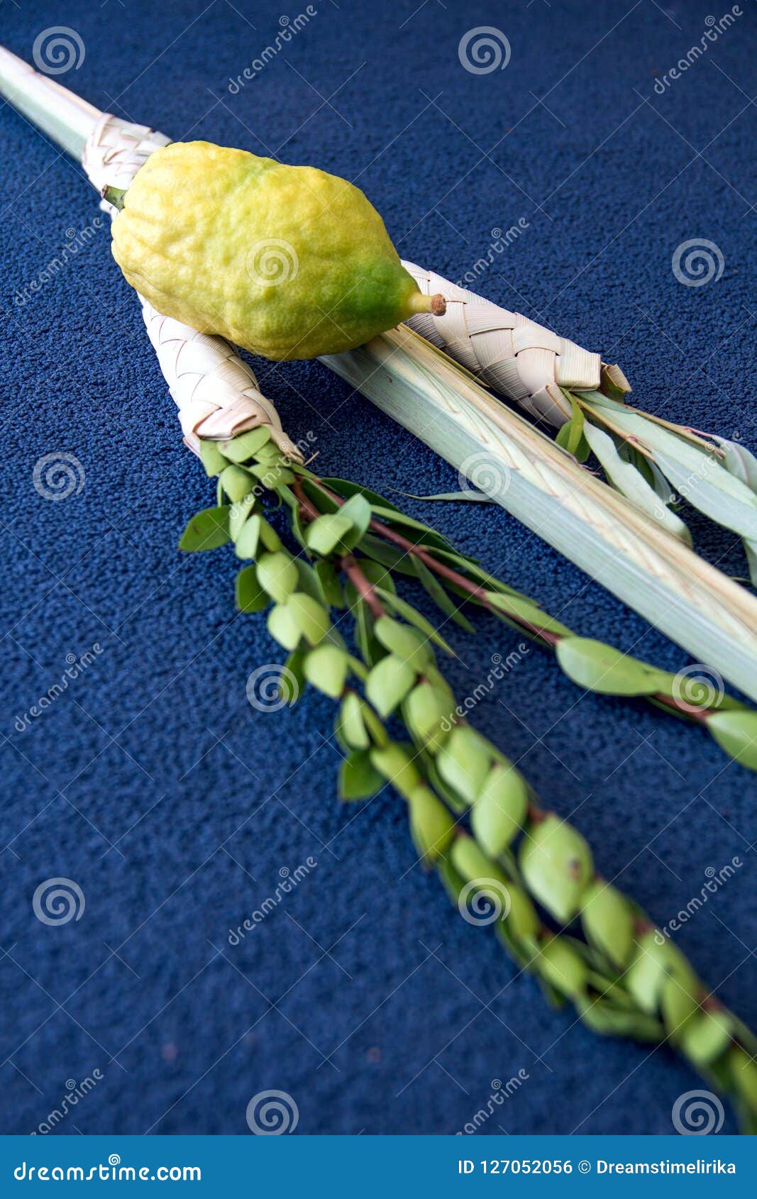 Lulav en Sukkot foto de archivo. Imagen de fecha, mirto - 127052056
