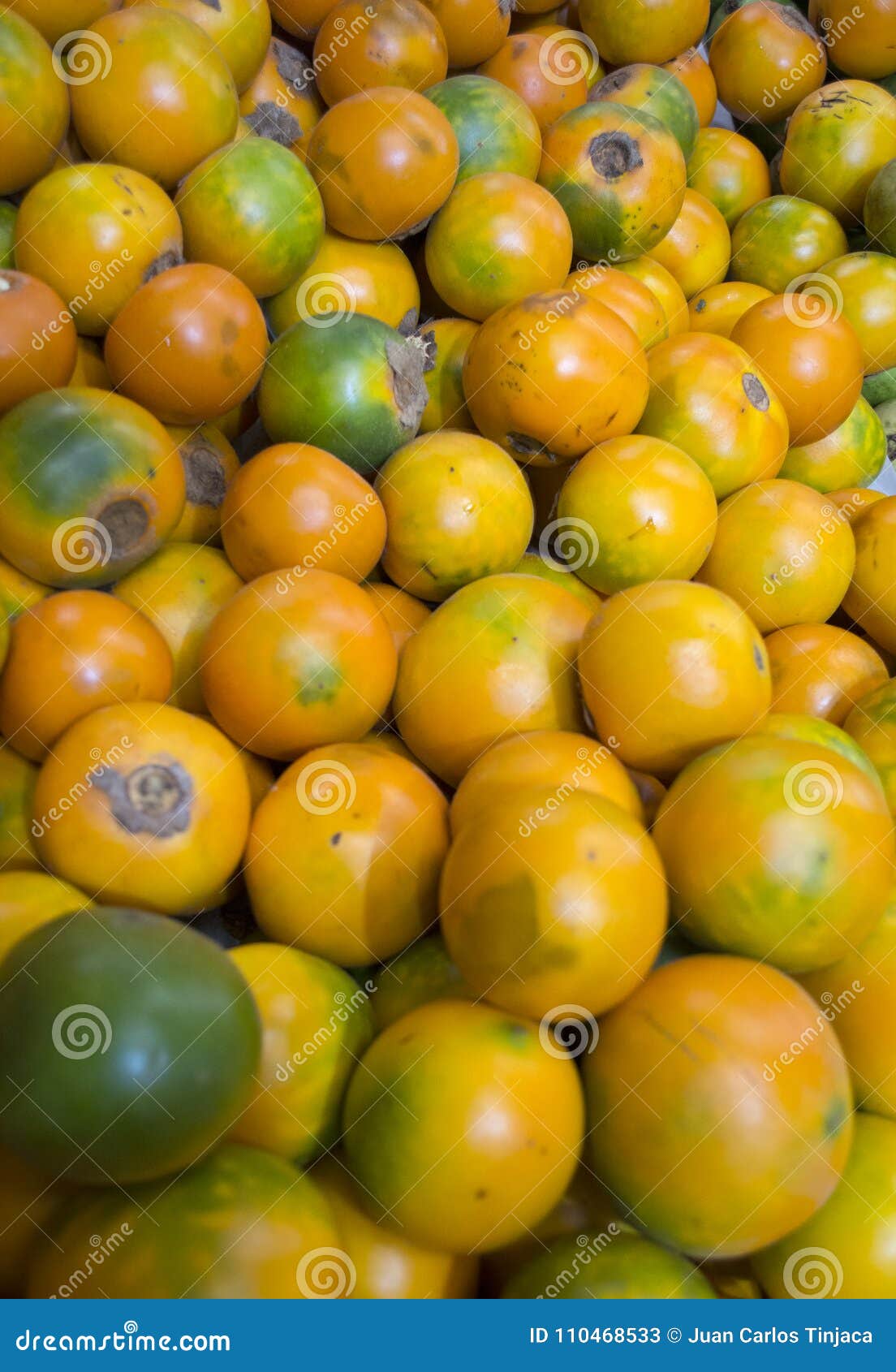 Lulo fruit. stock image. Image of mexico, freshness - 110468533