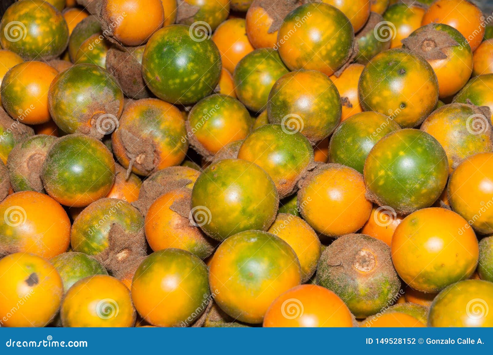 Lulo Tropical Fruit - Solanum Quitoense Stock Photo - Image of diet ...