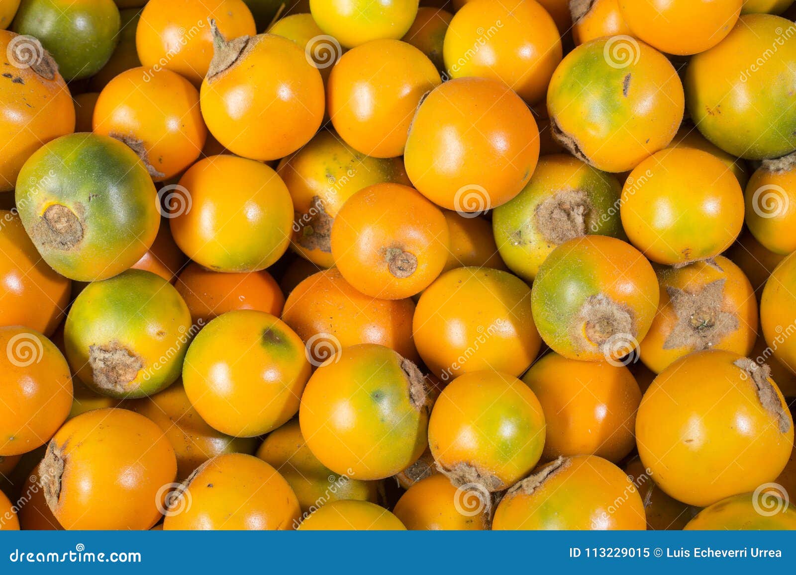 Lulo Tropical Fruit - Solanum Quitoense Stock Image - Image of tasty ...