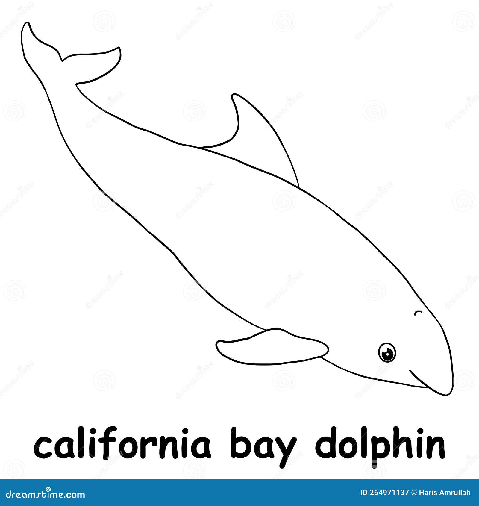 Kids Line Illustration Coloring California Bay Dolphin. Outline Vector ...