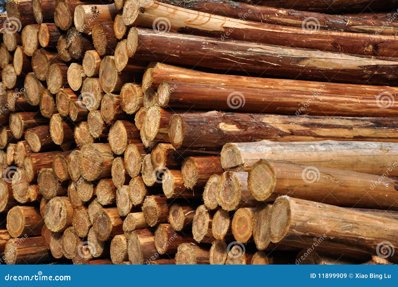 Lumber stock image. Image of south, chinese, timber, lumber - 11899909