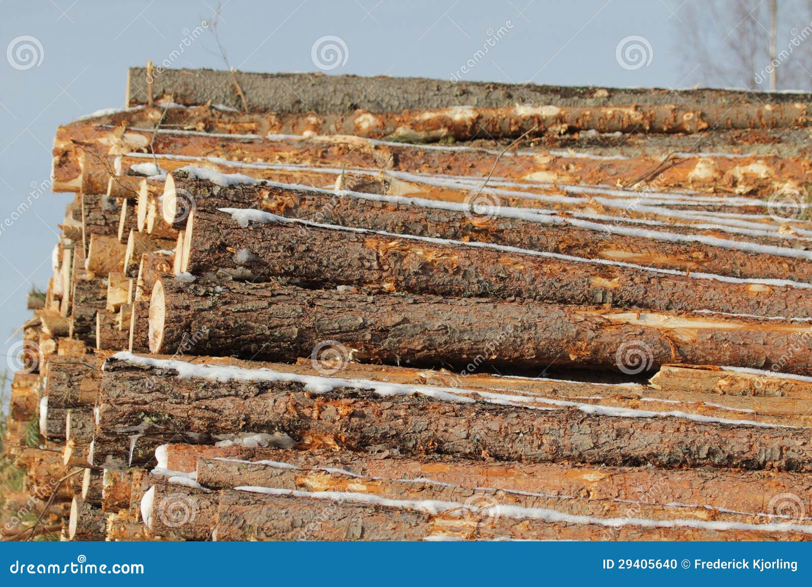 Lumber stock photo. Image of industry, rings, logging - 29405640