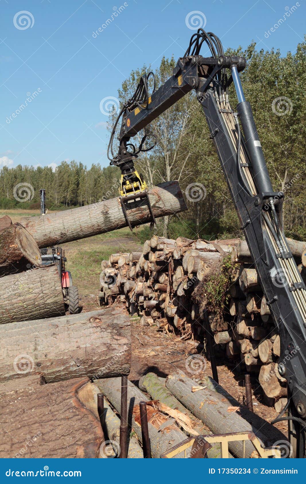 Lumber industry stock photo. Image of carpentry, exploiting - 17350234