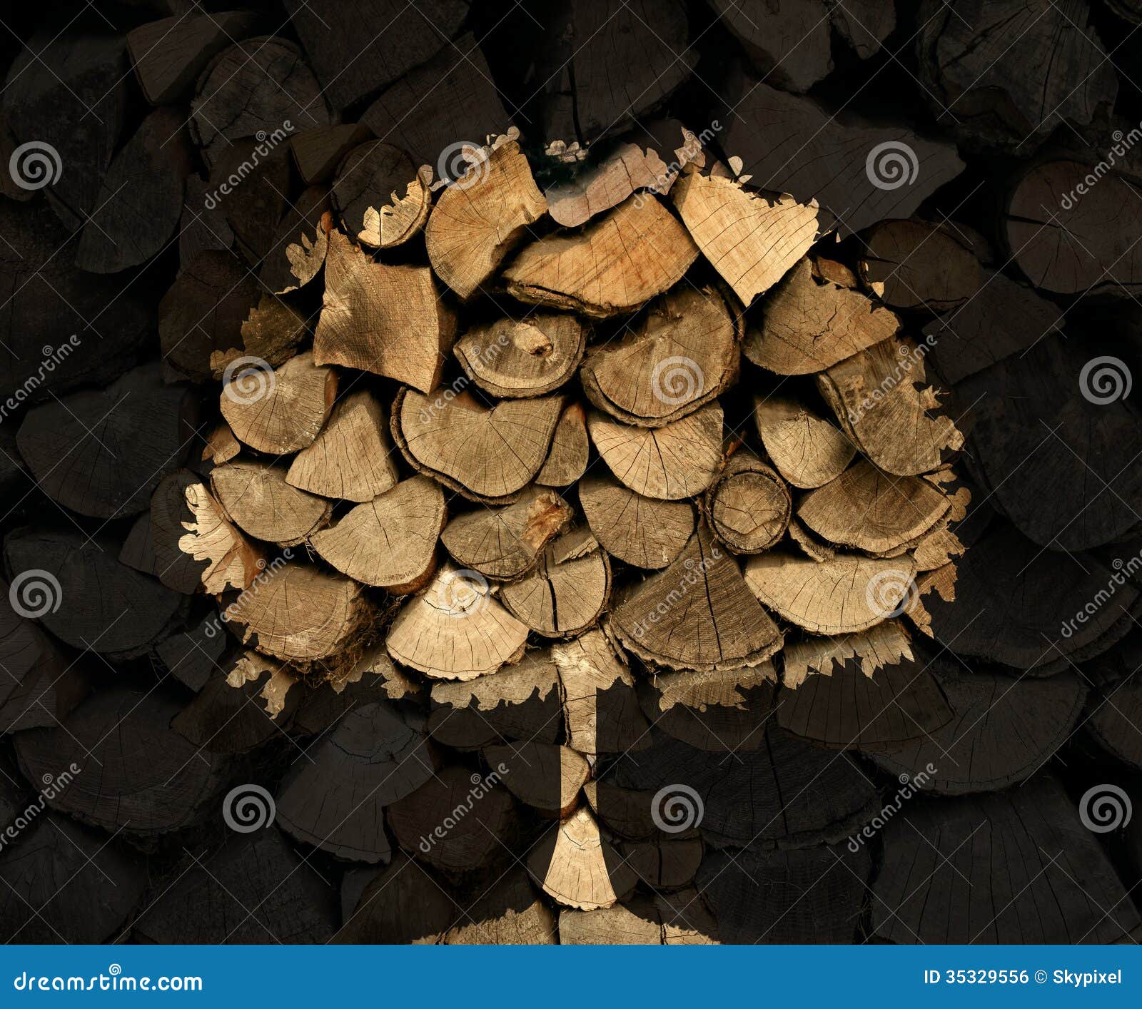 Chopped Tree Stock Illustrations – 804 Chopped Tree Stock Illustrations ...