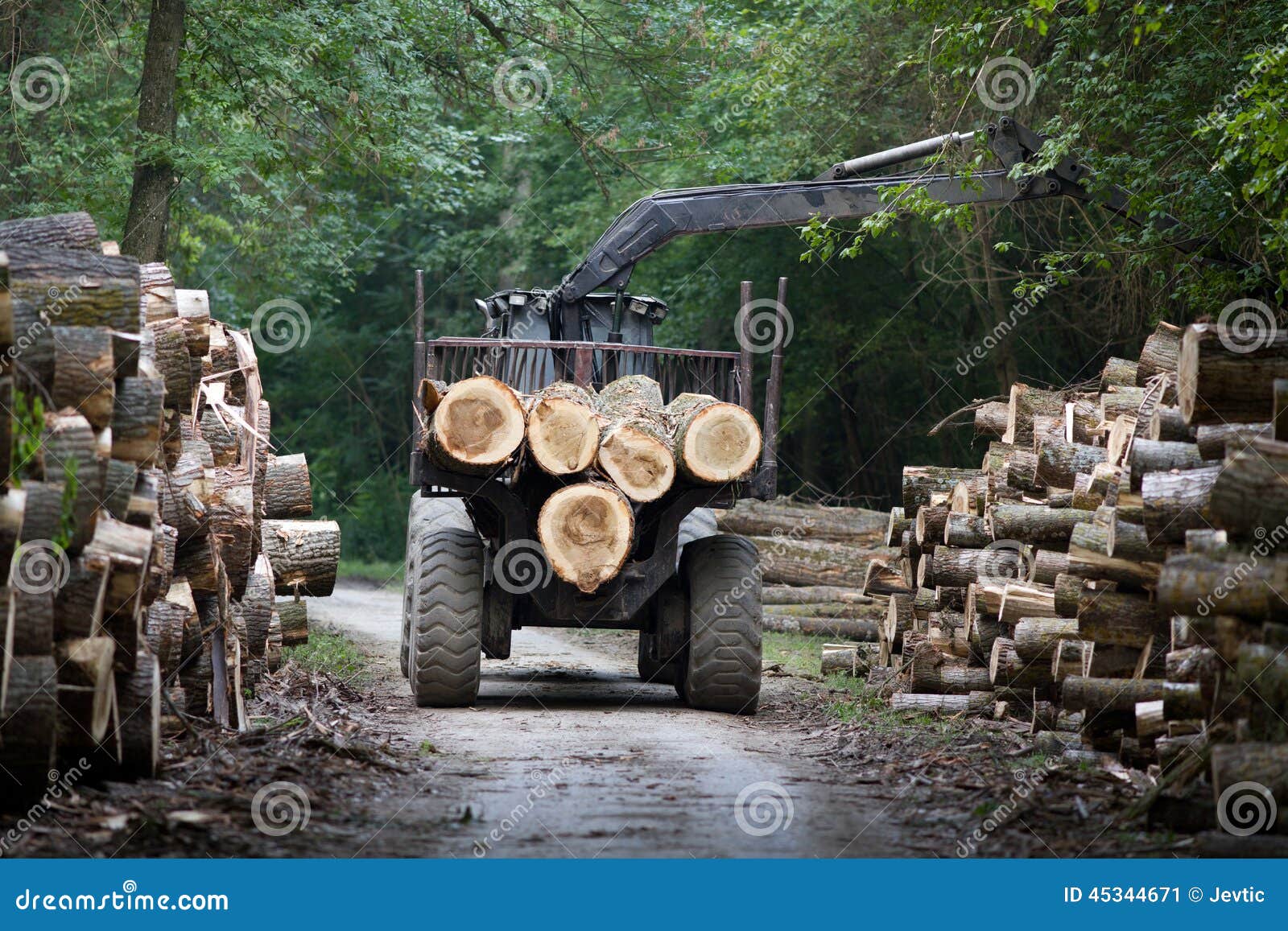 Lumber industry stock image. Image of load, pile, timber - 45344671