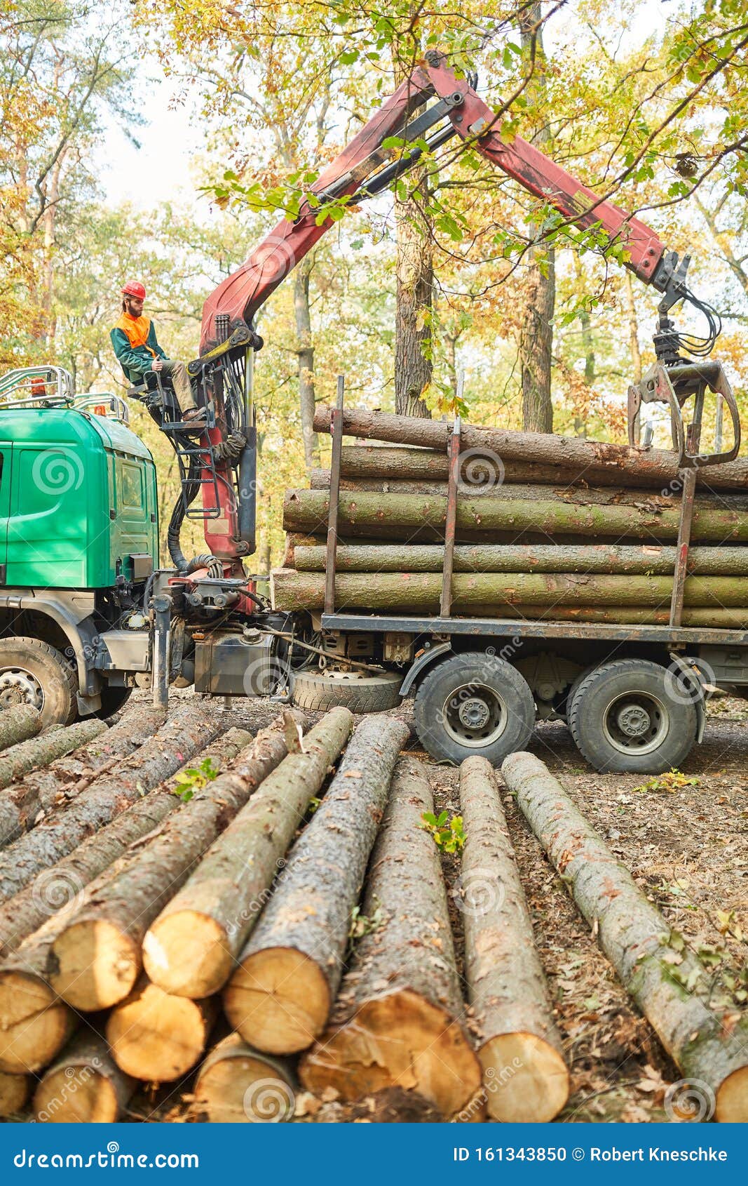 Lumber is Loaded with the Forest Crane Stock Photo - Image of lumber ...