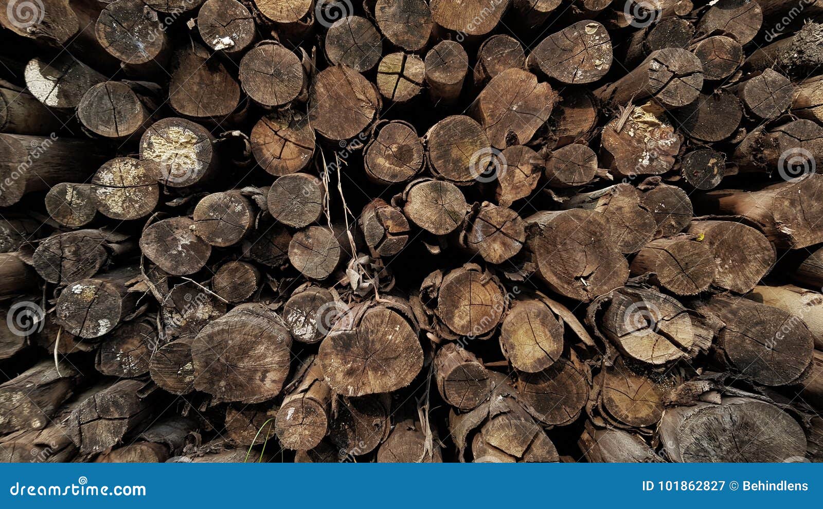 Lumber Log Prepare for Fire Arrange on the Cabin Stock Image - Image of ...