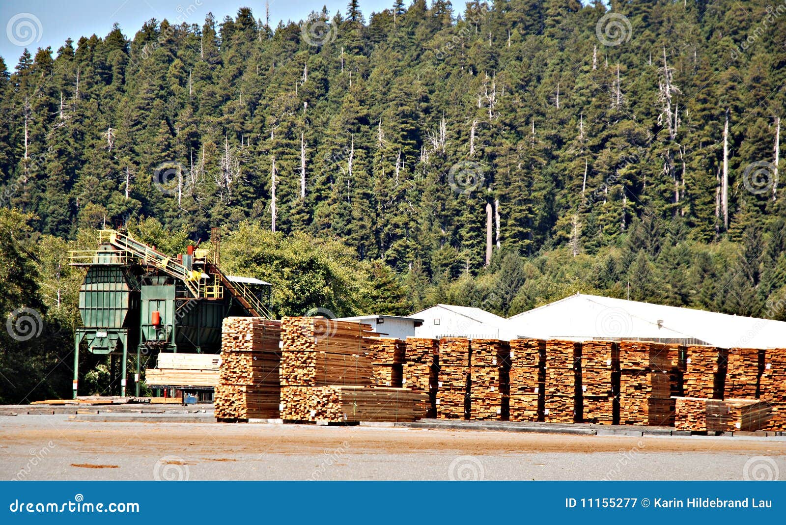 Lumber Mill stock image. Image of trees, factory, industry - 11155277