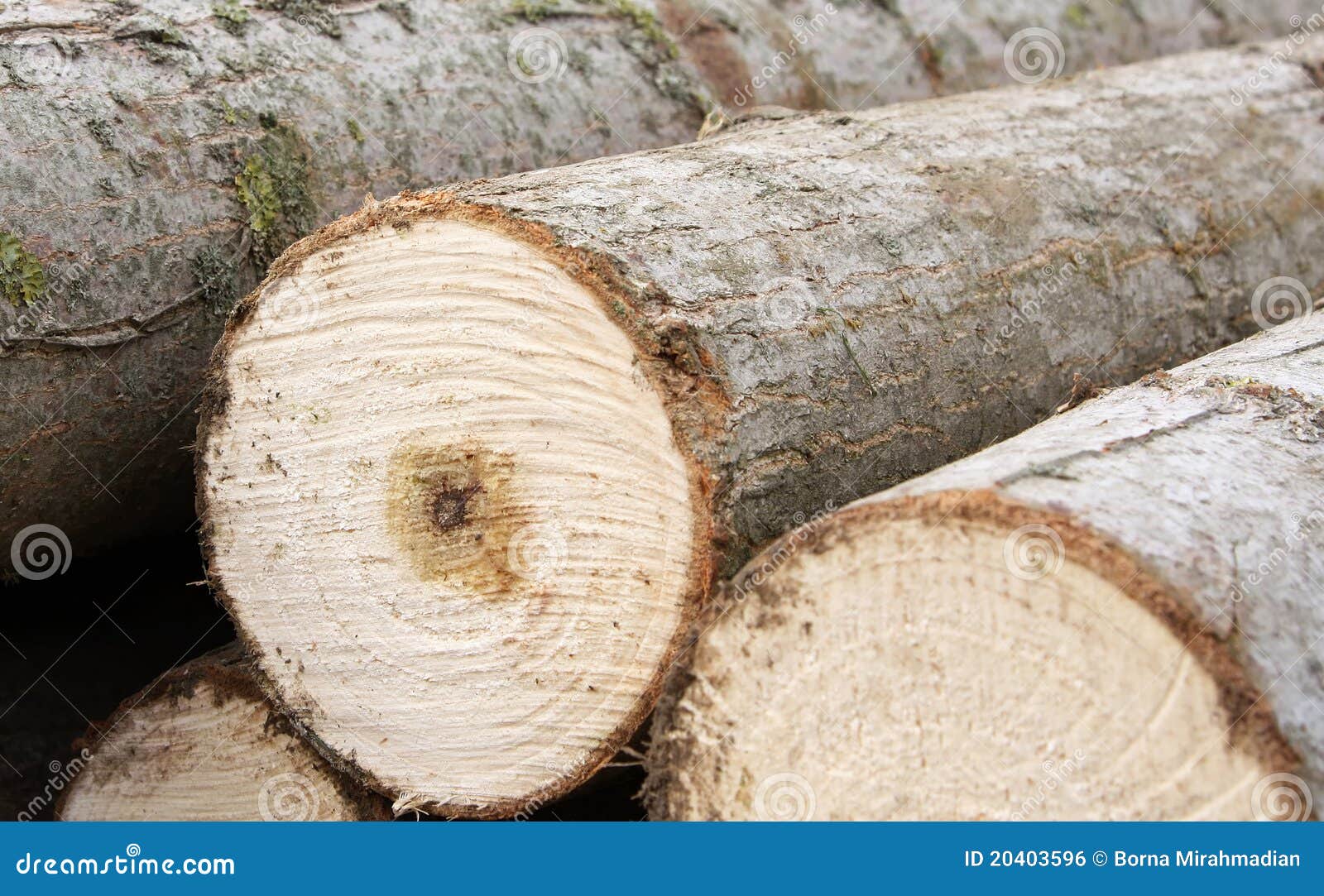 Lumber pile stock photo. Image of energy, paper, woodpile - 20403596