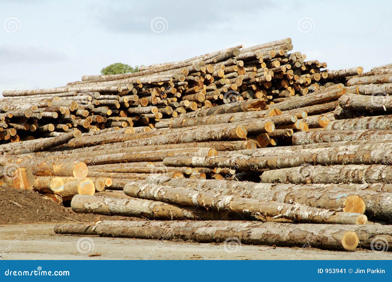 Lumber Processing 5 stock image. Image of paper, timber - 953941