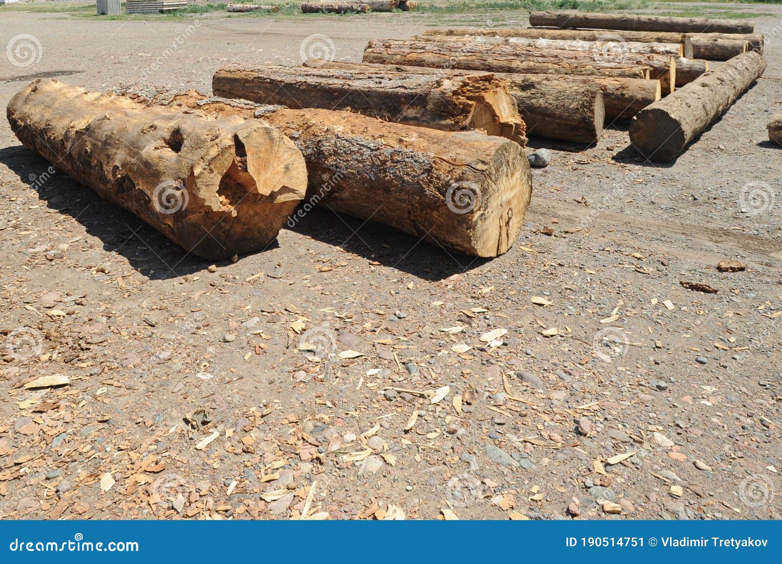 Lumber for Processing and Preparation in Repair and Construction Stock ...