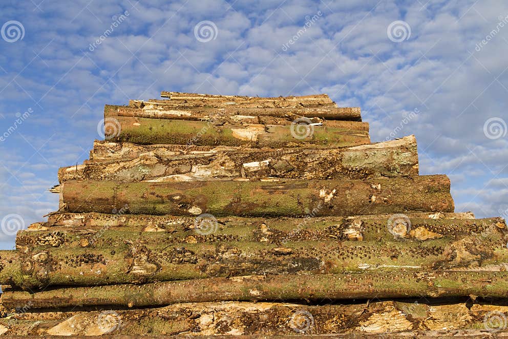 Lumber stack stock image. Image of timber, heap, industry - 25648073