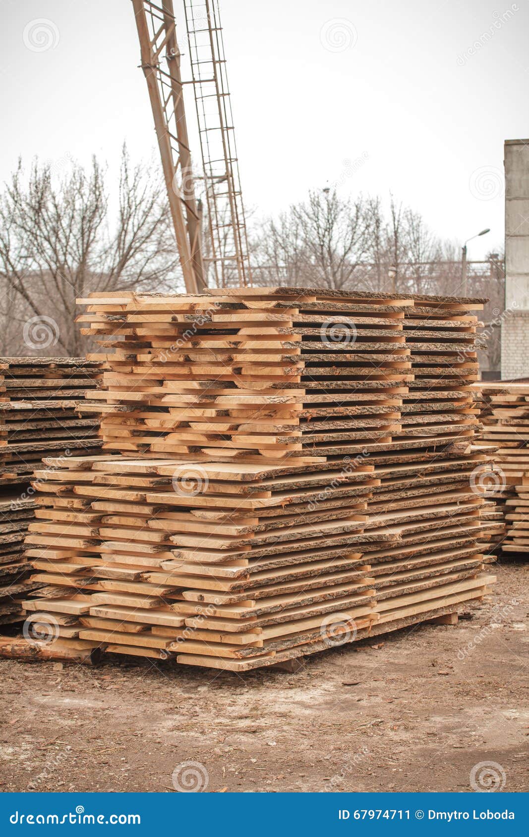Lumber stack boards stock image. Image of harvesting - 67974711