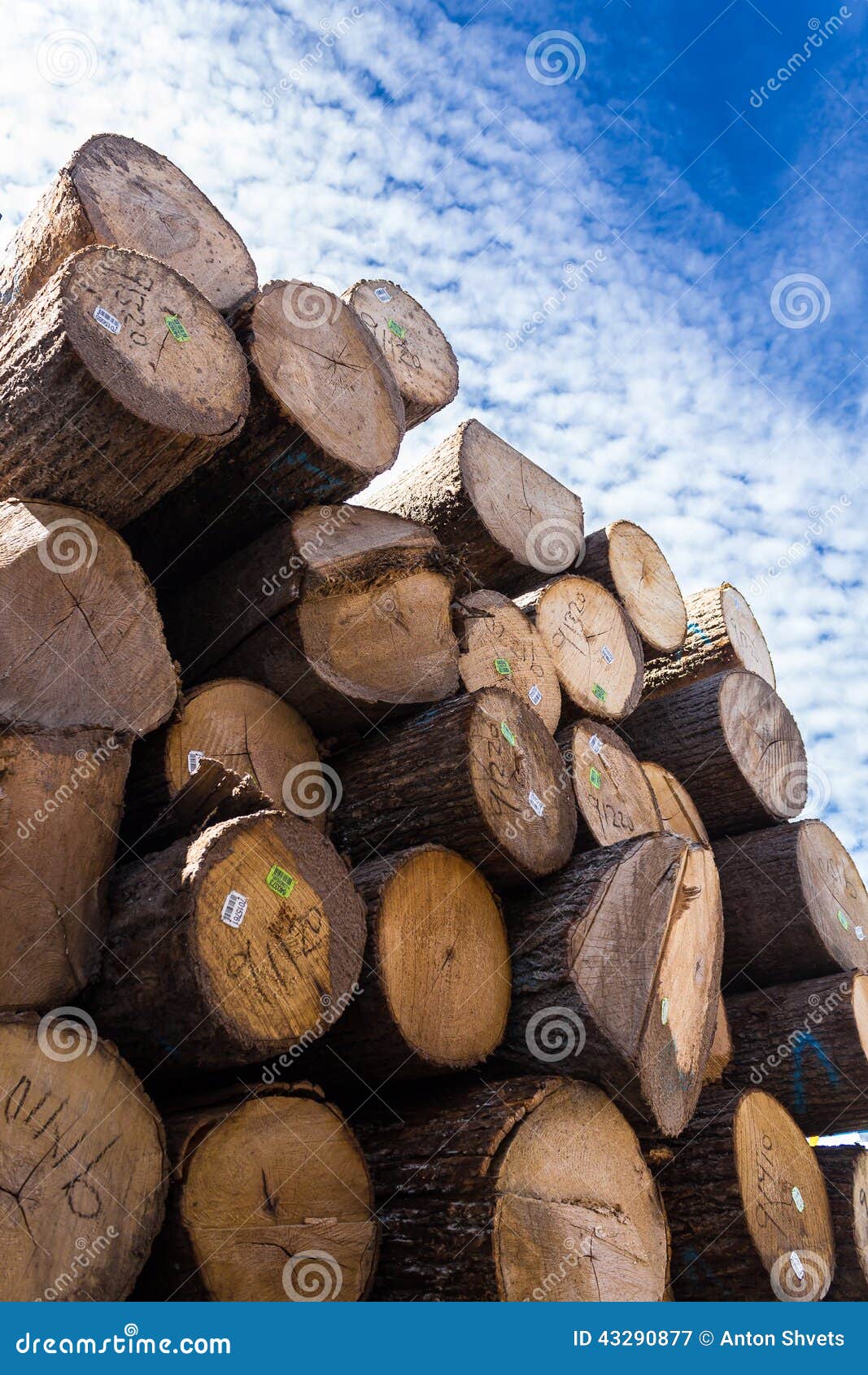 Lumber stock image. Image of stocked, lumber, wood, logs - 43290877