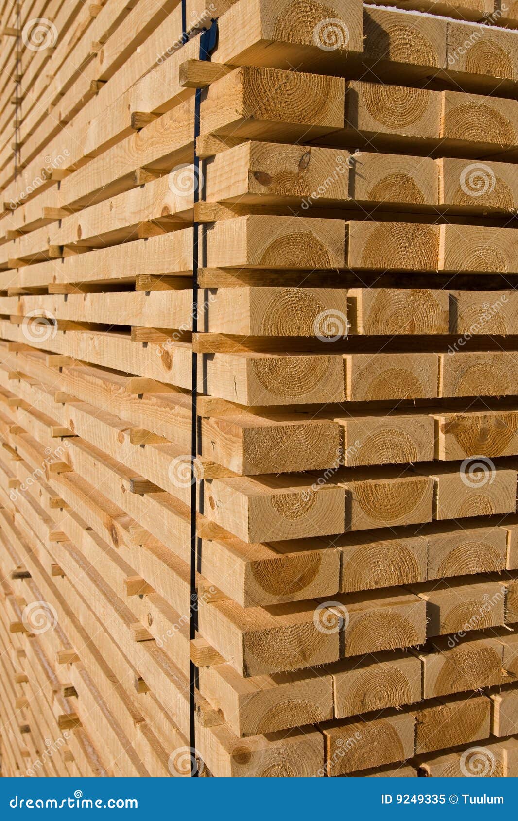 Lumber and timber stock image. Image of resources, logging - 9249335