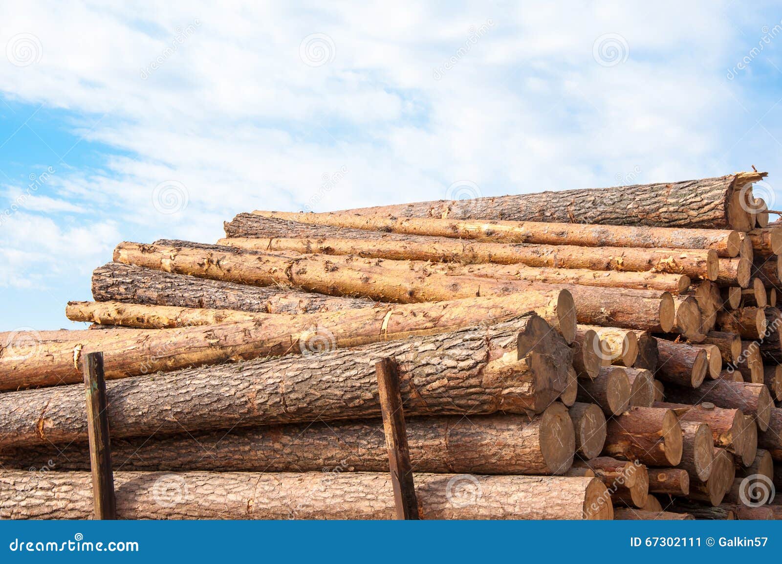 Lumber under the open sky stock image. Image of rough - 67302111