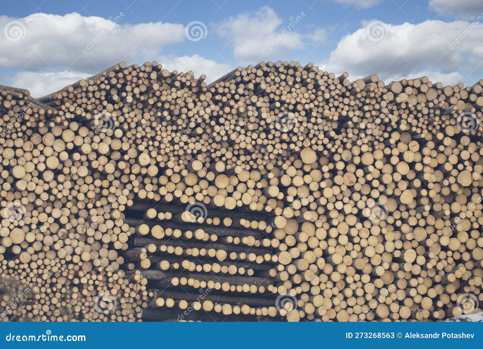 Lumber Warehouse.a Large Warehouse of Lumber Outdoors Stock Image ...