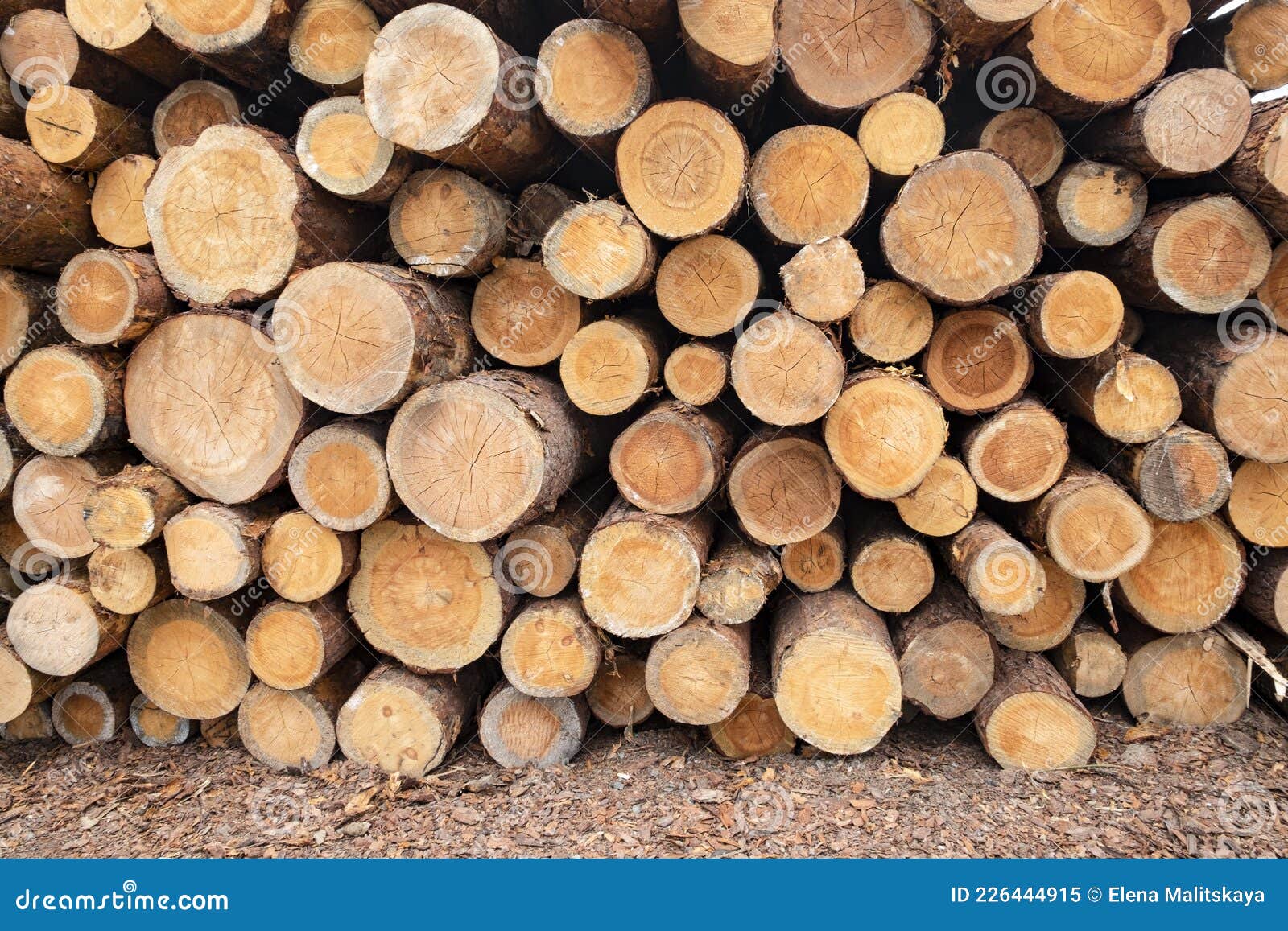 Lumber Warehouse. Stack of Round Raw Coniferous Logs Outdoors Stock ...